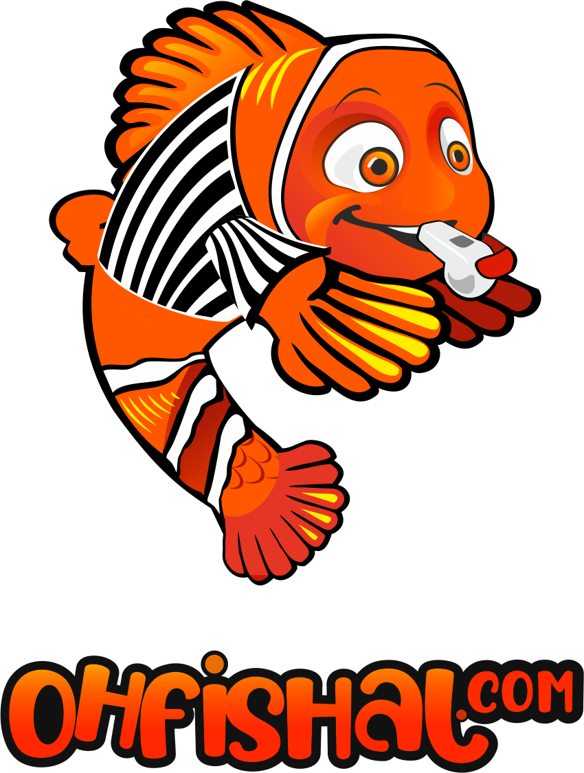 Blenny Overview and Care Taking Guide - Ohfishal.com